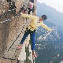 王敏斯 闫冬 宋缤纷 杨曼曼 李英姿