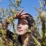 肖玉兰 薛美 邓丽萍 冯哲 汤琪